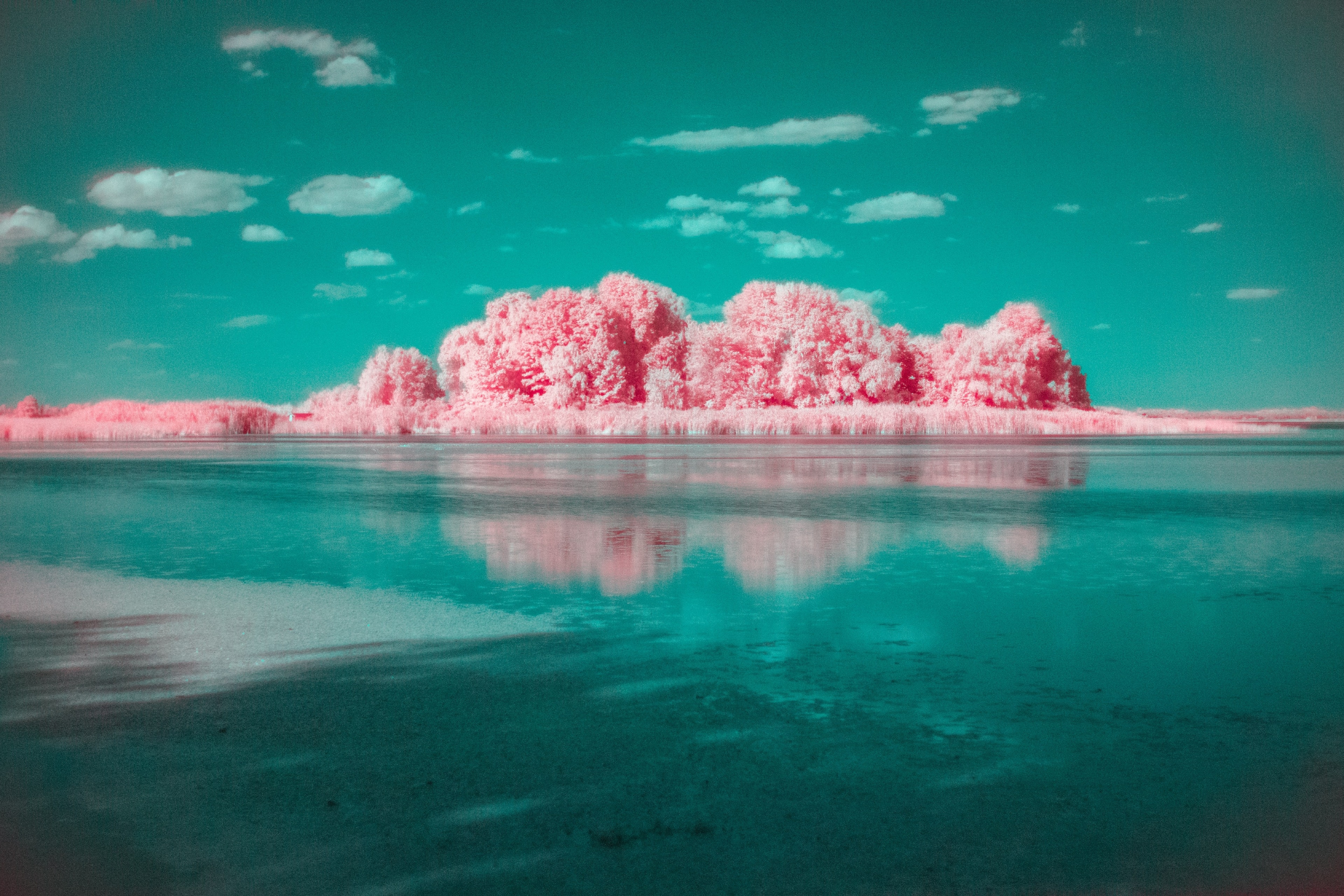 7681x17321 Photography Infrared 4k 7681x17321 Resolution Wallpaper, HD ...