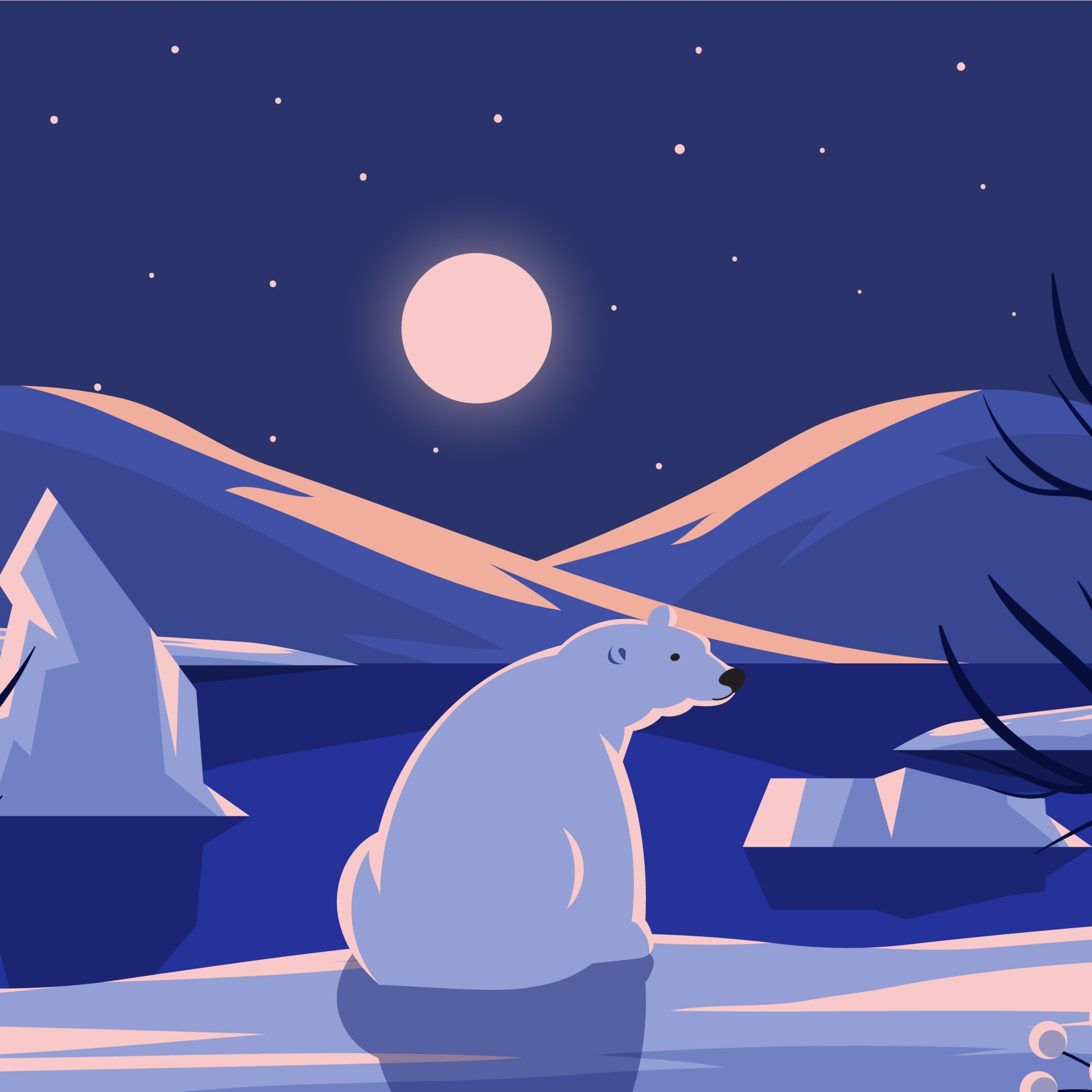 4000x4000 Resolution Polar Bear HD Winter Art 4000x4000 Resolution ...