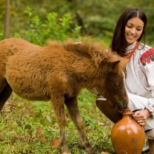 300x300 Resolution pony, nature, grass 300x300 Resolution Wallpaper ...