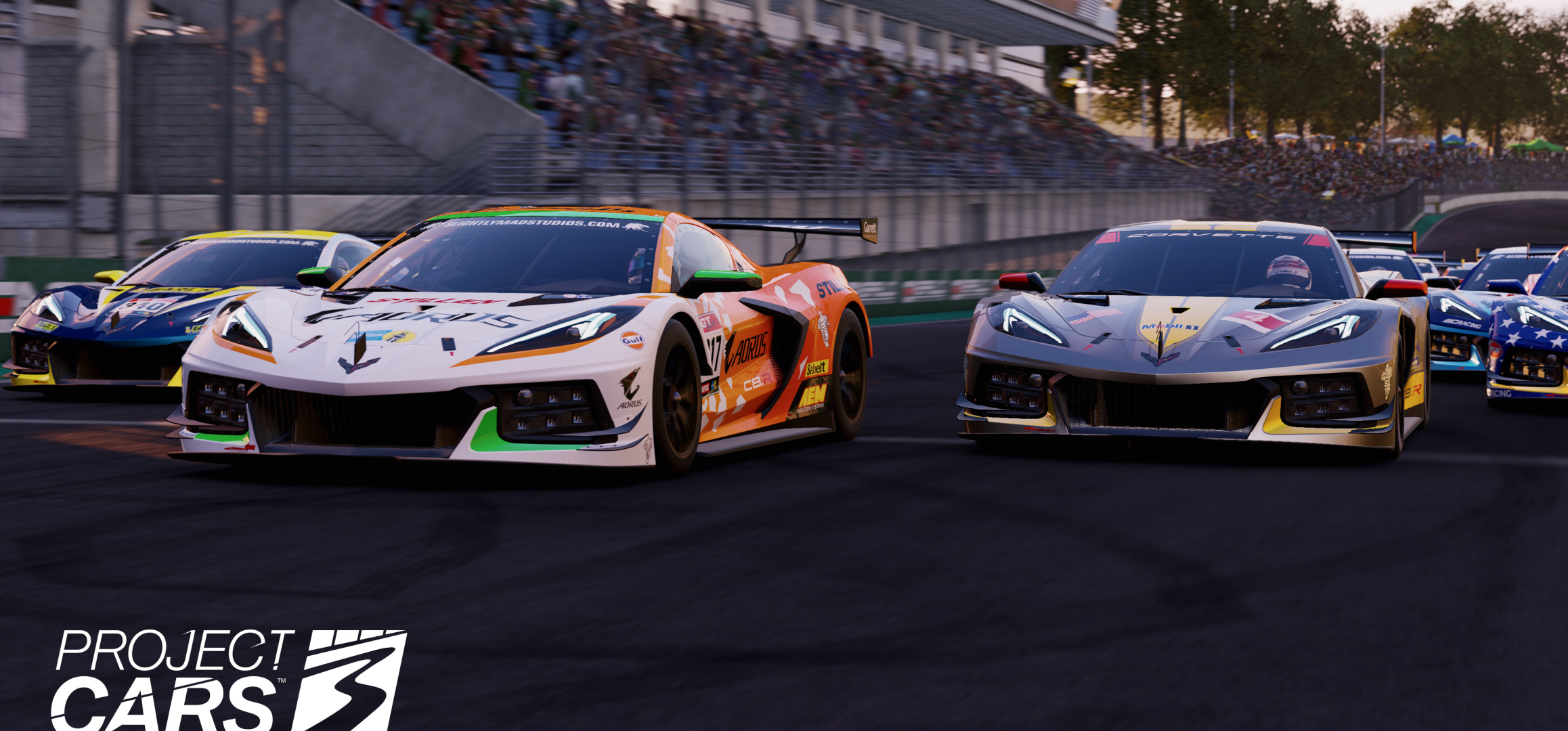 2316x1080 Resolution Project Cars 3 2316x1080 Resolution Wallpaper ...