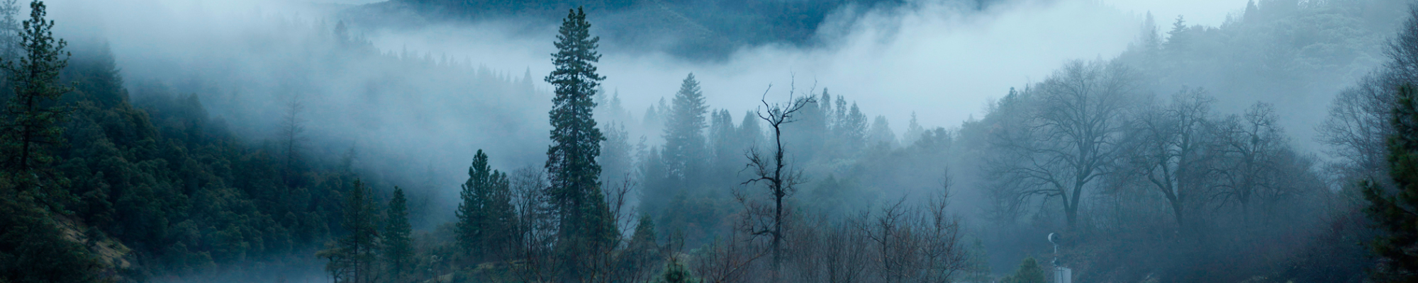 2000x400 Resolution railroad, fog, trees 2000x400 Resolution Wallpaper ...