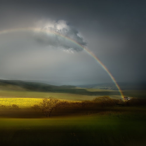 500x500 Rainbow Rain HD 500x500 Resolution Wallpaper, HD Nature 4K ...