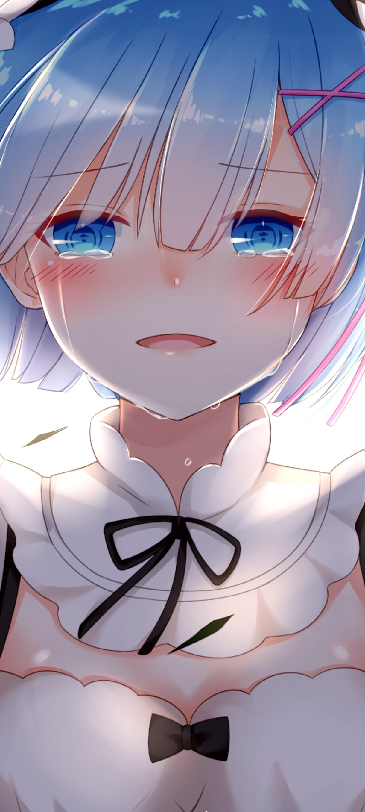 1220x2712 Resolution re zero, rem, anime girl 1220x2712 Resolution ...