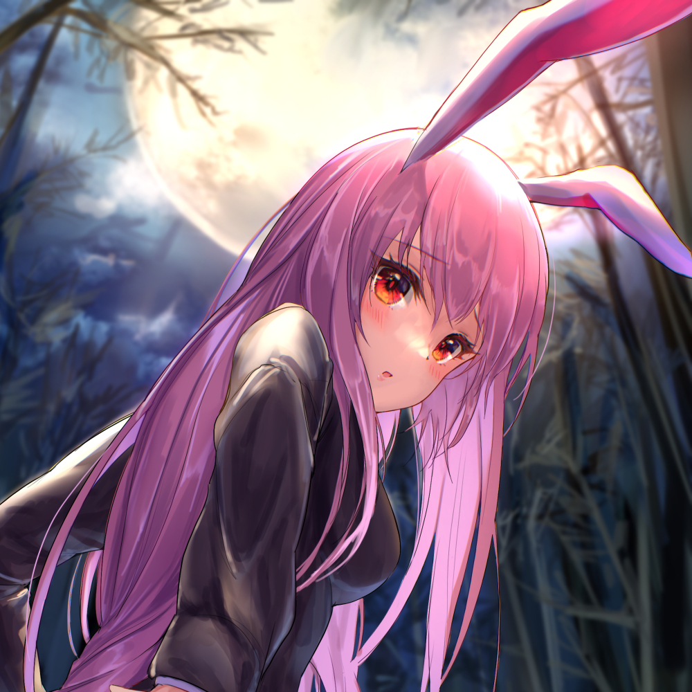 1000x1000 Resolution Reisen Udongein Inaba HD Touhou 1000x1000 ...