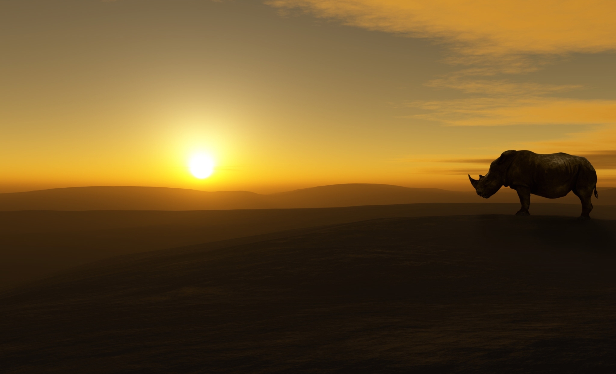2000x1213 Resolution Rhino 2000x1213 Resolution Wallpaper - Wallpapers Den