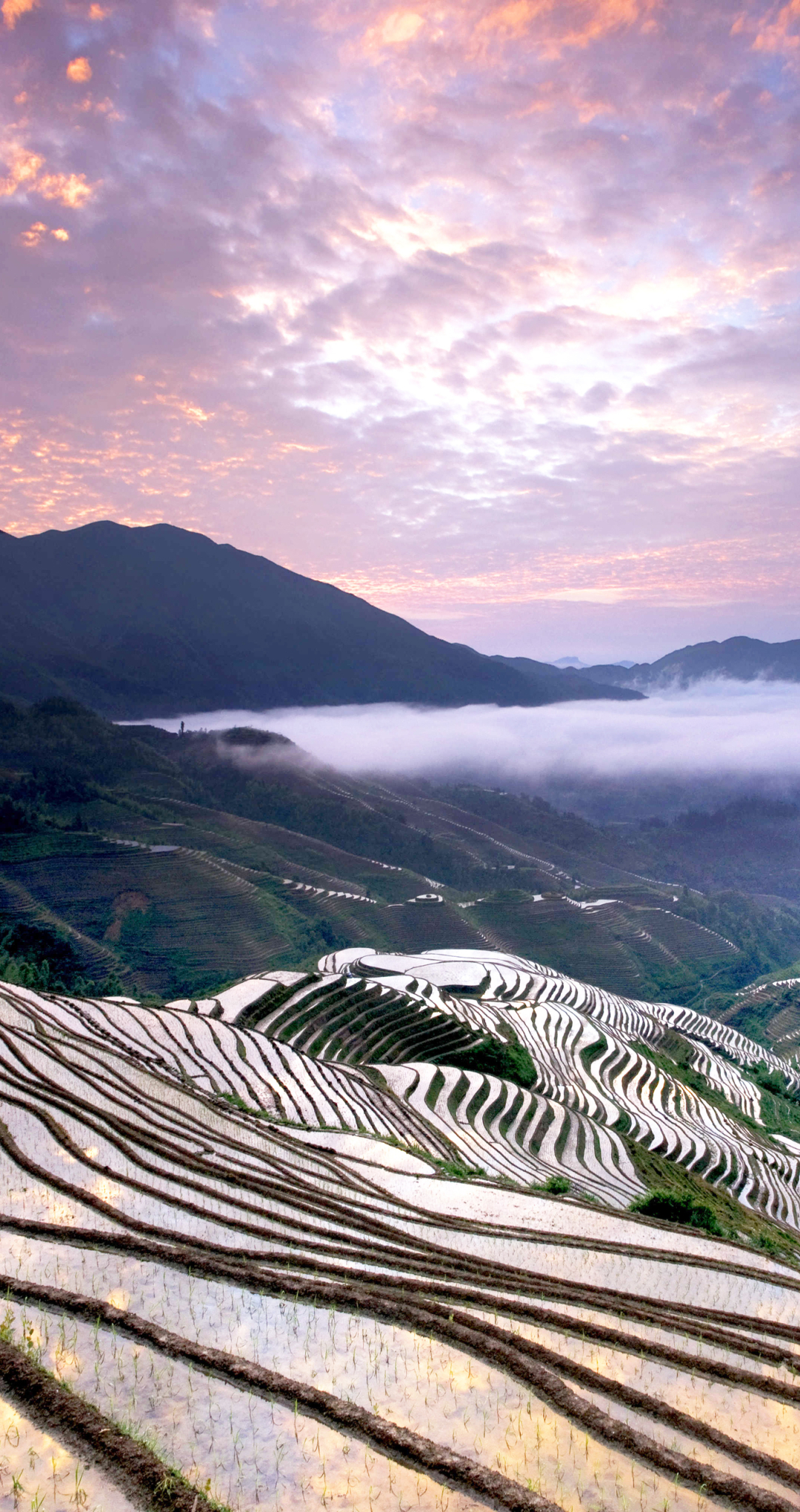 1080x2040 Resolution Rice Terrace 4k 1080x2040 Resolution Wallpaper ...