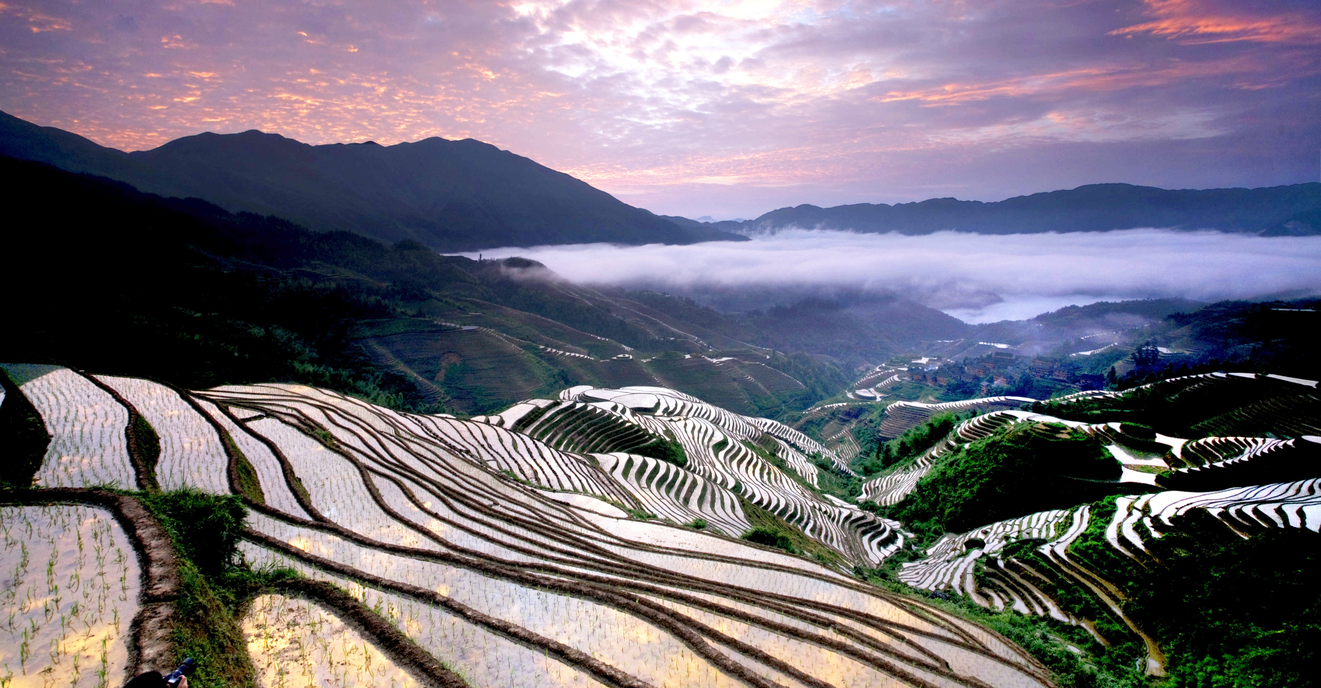 1920x1000 Resolution Rice Terrace 4k 1920x1000 Resolution Wallpaper ...