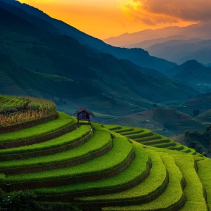 300x300 Resolution Rice Terrace Cool 300x300 Resolution Wallpaper ...