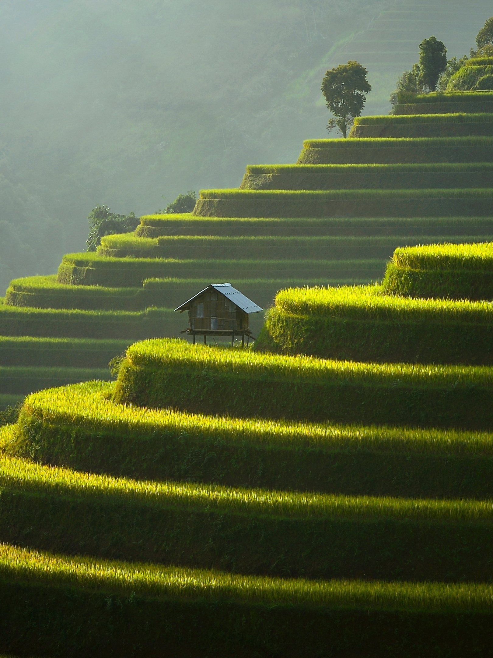 1620x2160 Resolution Rice Terrace New 4K 1620x2160 Resolution Wallpaper ...
