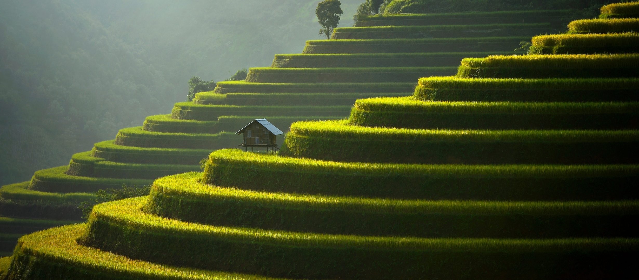 2460x1080 Resolution Rice Terrace New 4K 2460x1080 Resolution Wallpaper ...