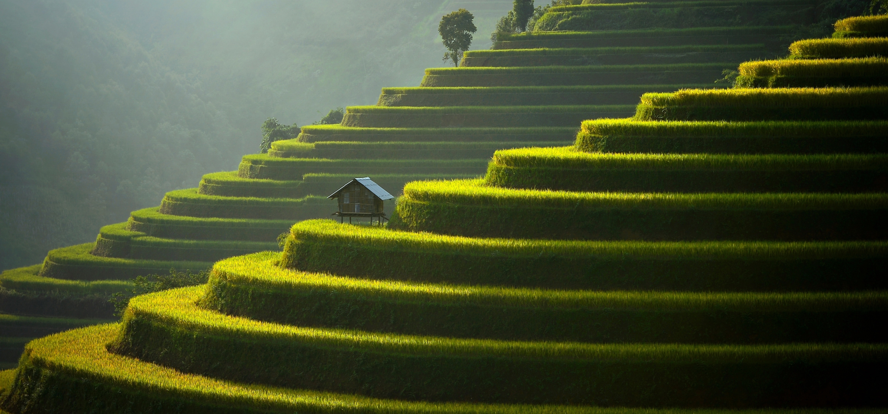3088x1440 Resolution Rice Terrace New 4K 3088x1440 Resolution Wallpaper ...