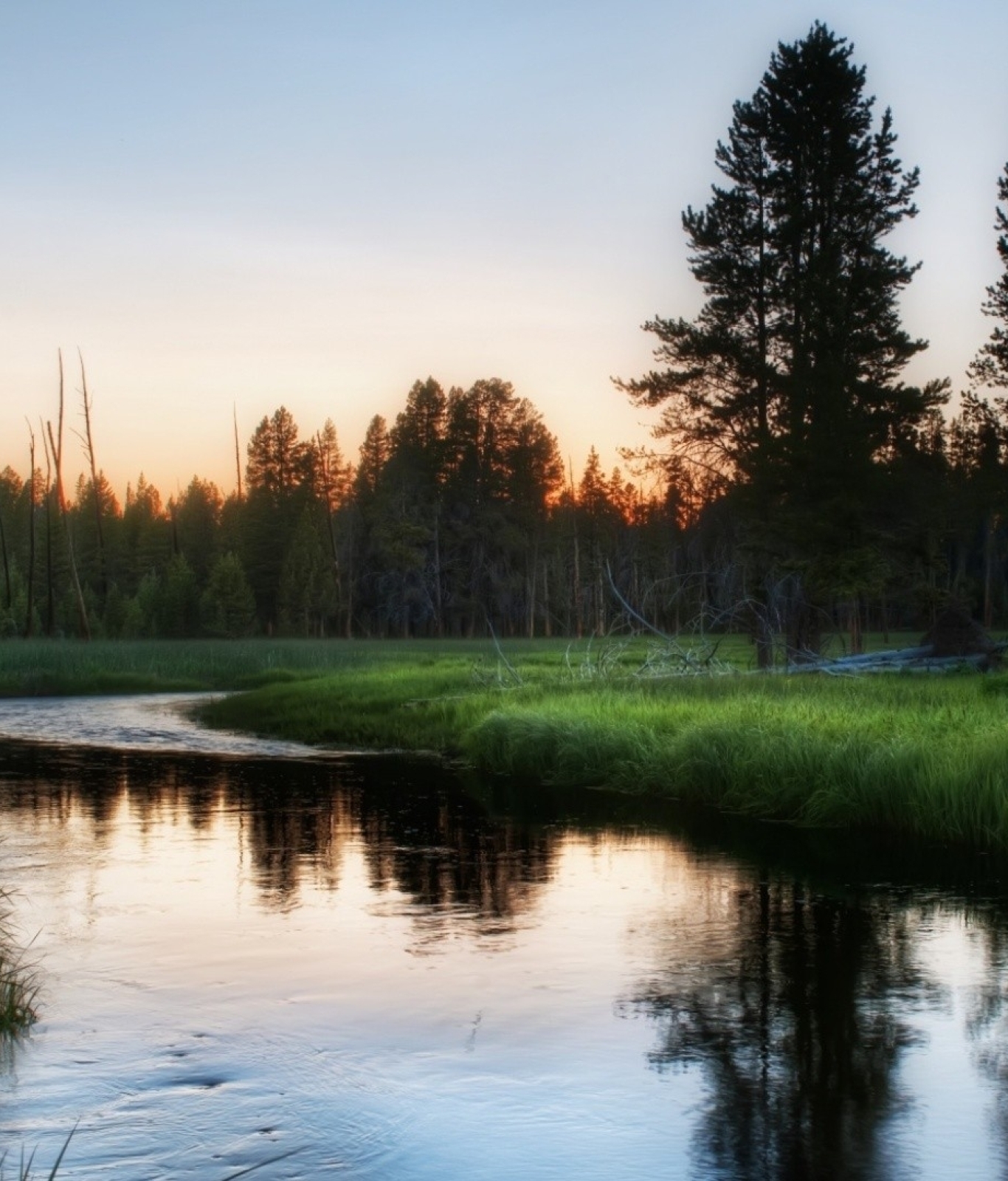 1366x1600 river, grass, evening 1366x1600 Resolution Wallpaper, HD ...