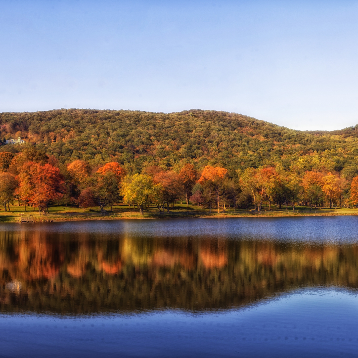 1440x1440 river, pond, trees 1440x1440 Resolution Wallpaper, HD Nature ...
