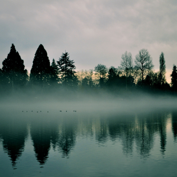 360x360 Resolution river, trees, fog 360x360 Resolution Wallpaper ...