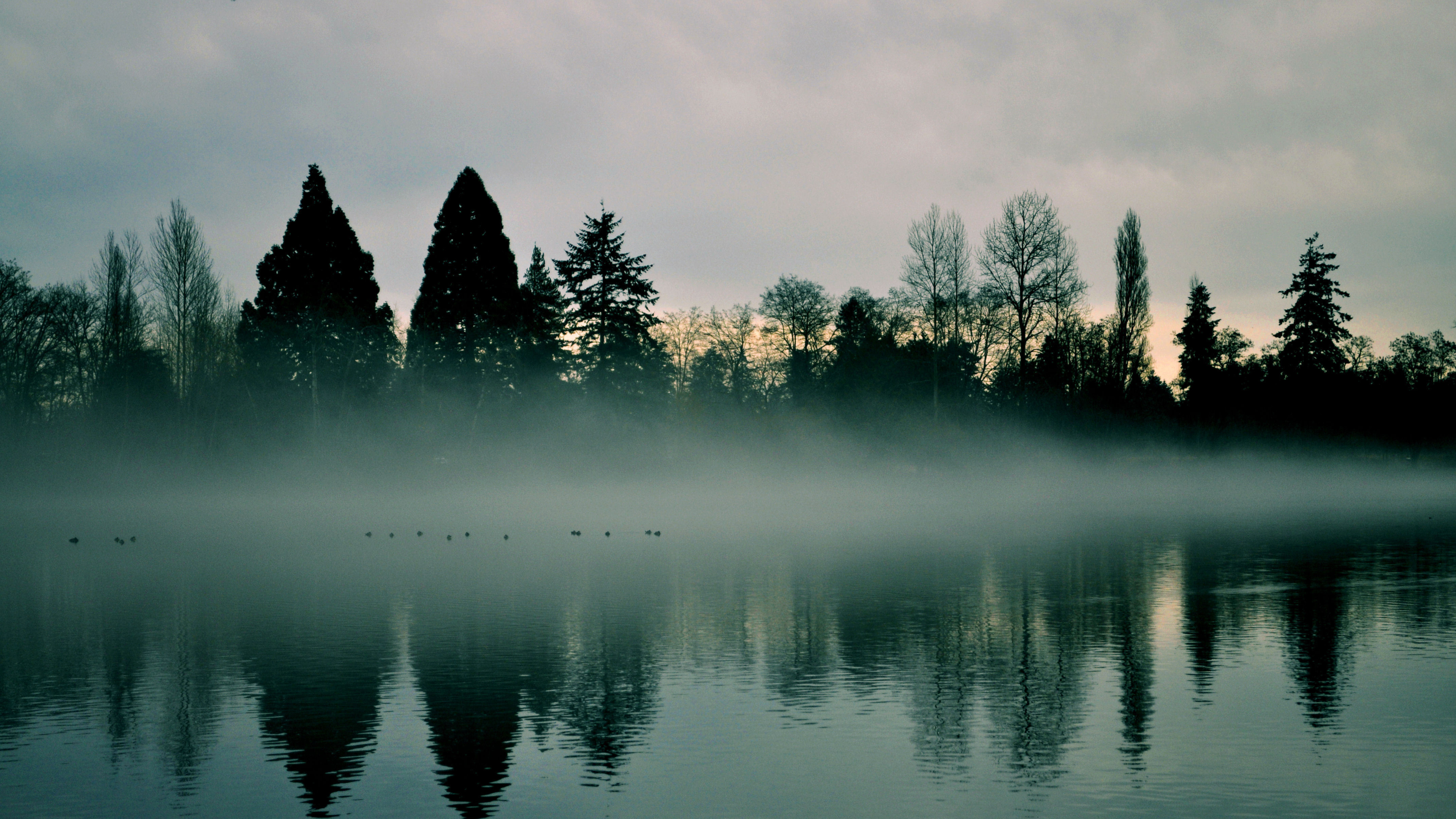3840x2161 Resolution river, trees, fog 3840x2161 Resolution Wallpaper ...