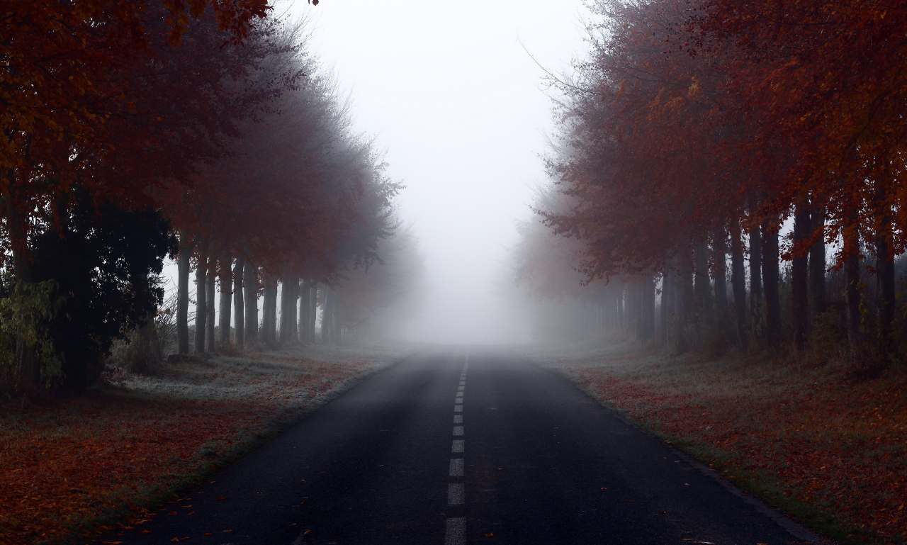 1280x769 Resolution road, signs, trees 1280x769 Resolution Wallpaper ...