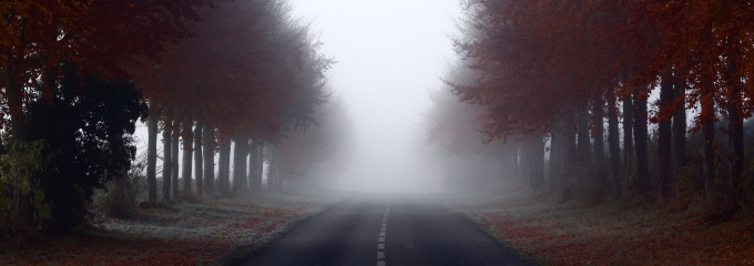 680x240 Resolution road, signs, trees 680x240 Resolution Wallpaper ...