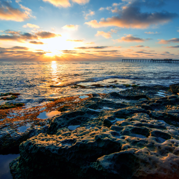 360x360 Resolution san diego, california, usa 360x360 Resolution ...
