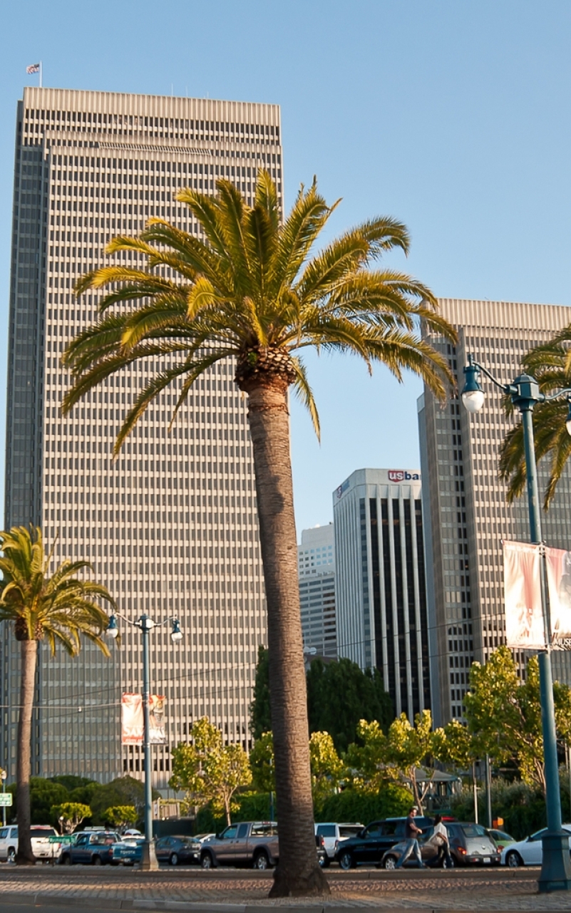 801x1281 Resolution san francisco, palm trees, sky 801x1281 Resolution ...