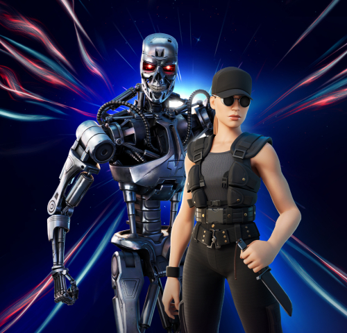 500x480 Resolution Sarah Connor and Terminator 800 Fortnite 500x480 ...