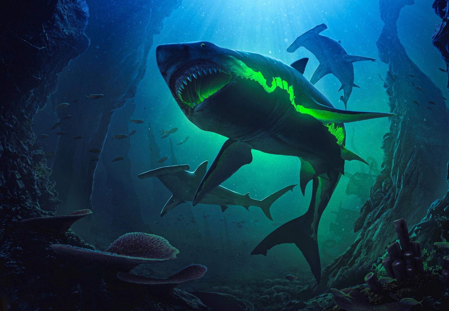 1893x1313 Resolution Shark 4k Cool 1893x1313 Resolution Wallpaper ...