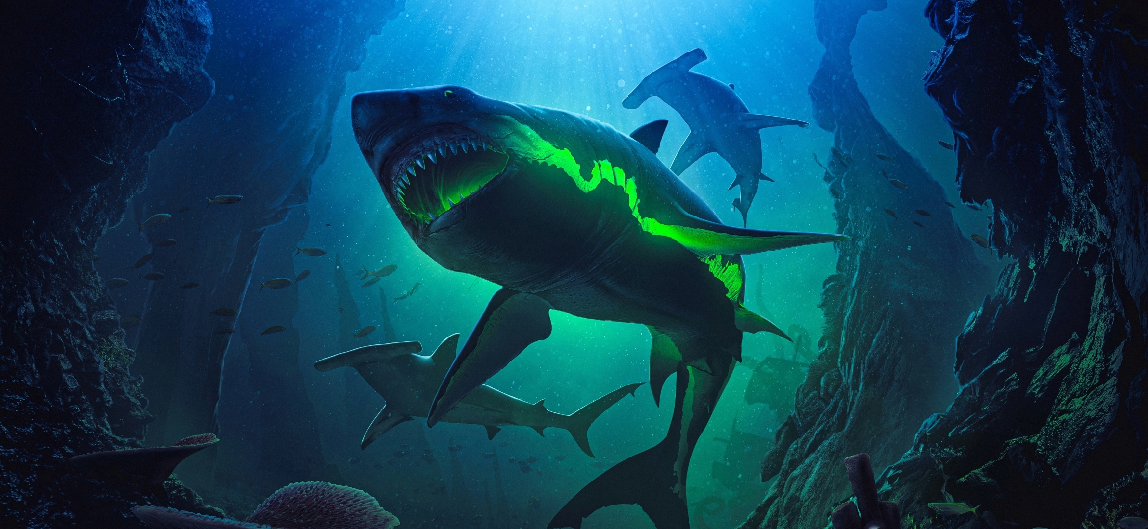 2340x1080 Shark 4k Cool 2340x1080 Resolution Wallpaper, HD Artist 4K ...
