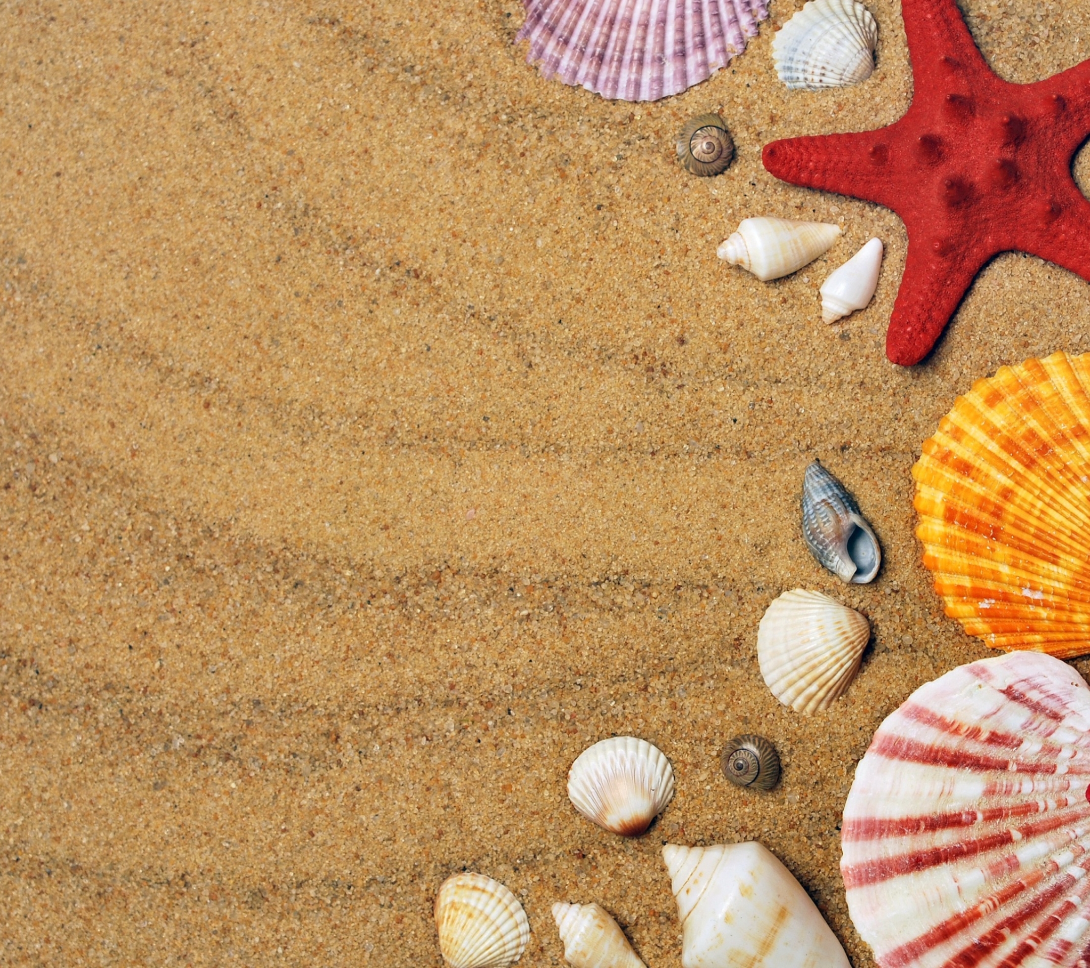 2160x1920 Resolution Shell And Starfish In Sand 2160x1920 Resolution ...