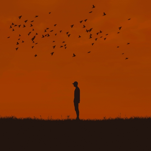 512x512 Silhouette Man And Birds 512x512 Resolution Wallpaper, HD ...