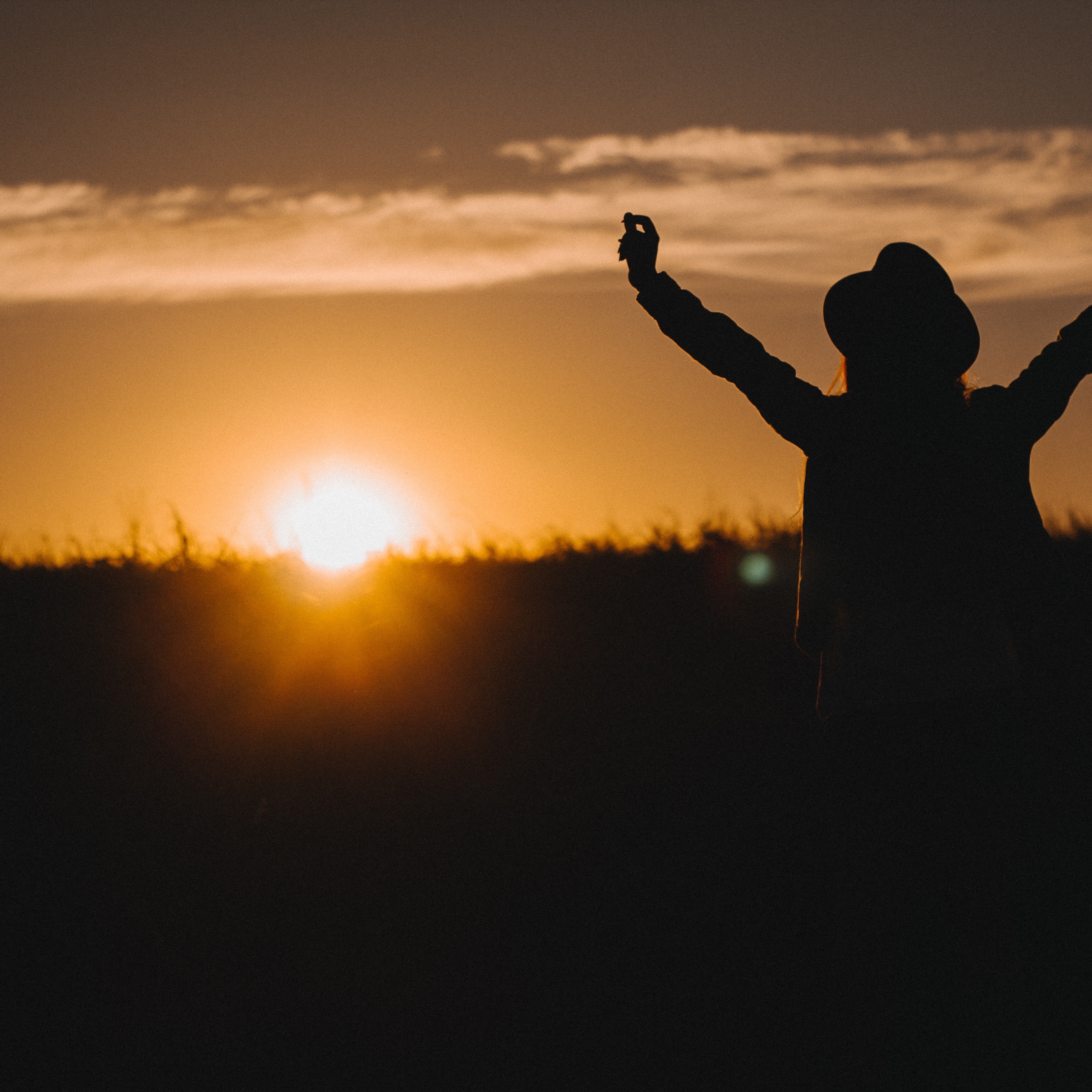 4000x4000 Resolution silhouette, night, sunset 4000x4000 Resolution ...