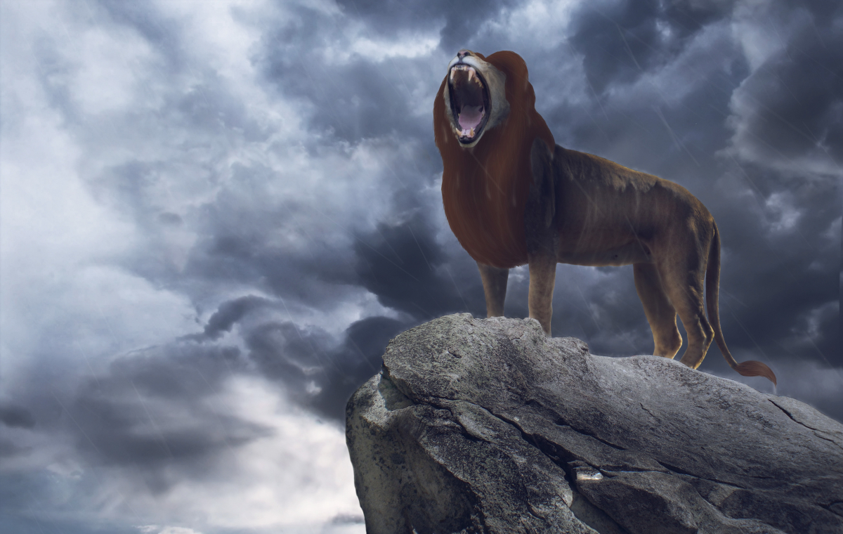 1200x760 Resolution Simba in The Lion King 2019 Movie 1200x760 ...