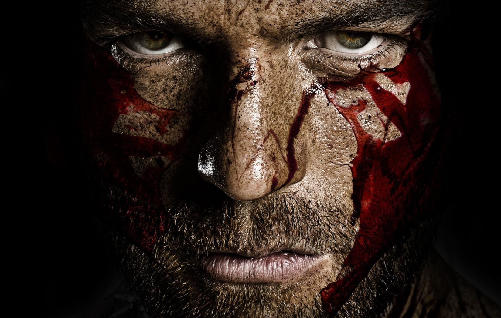 1650x1050 spartacus, spartacus blood and sand, face 1650x1050 ...