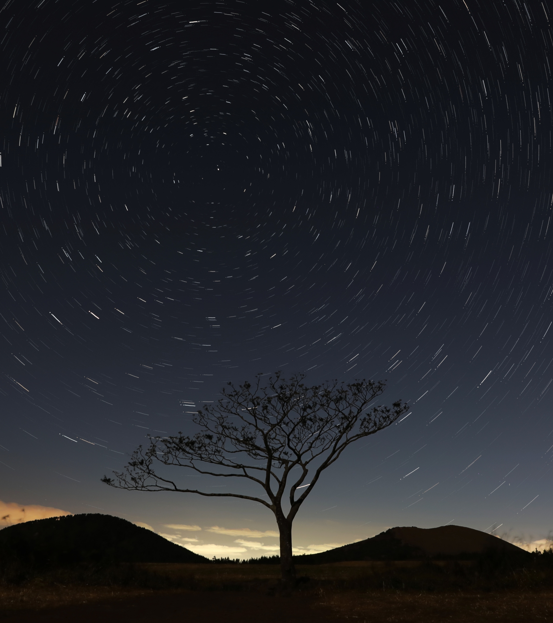 1920x2160 Resolution Stars And Trees In Starry Night 1920x2160 ...