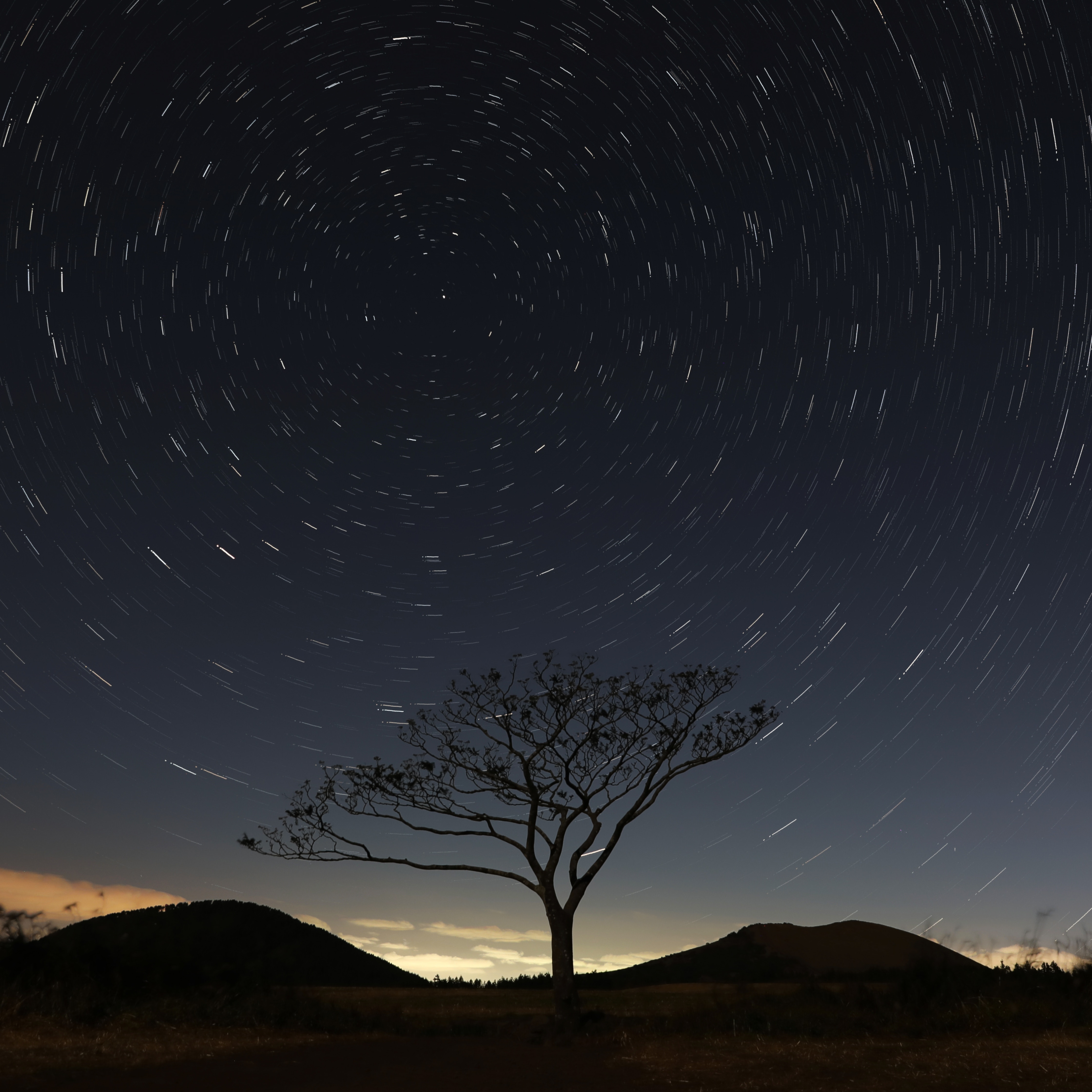 5000x5000 Stars And Trees In Starry Night 5000x5000 Resolution ...
