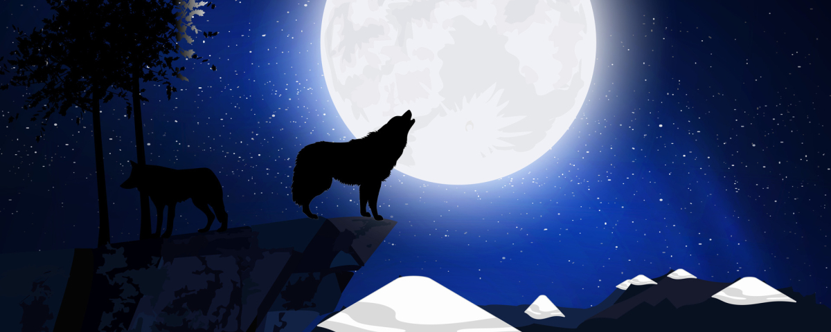1200x480 Resolution Stars Silhouette Wolf And Moon Art 1200x480 ...
