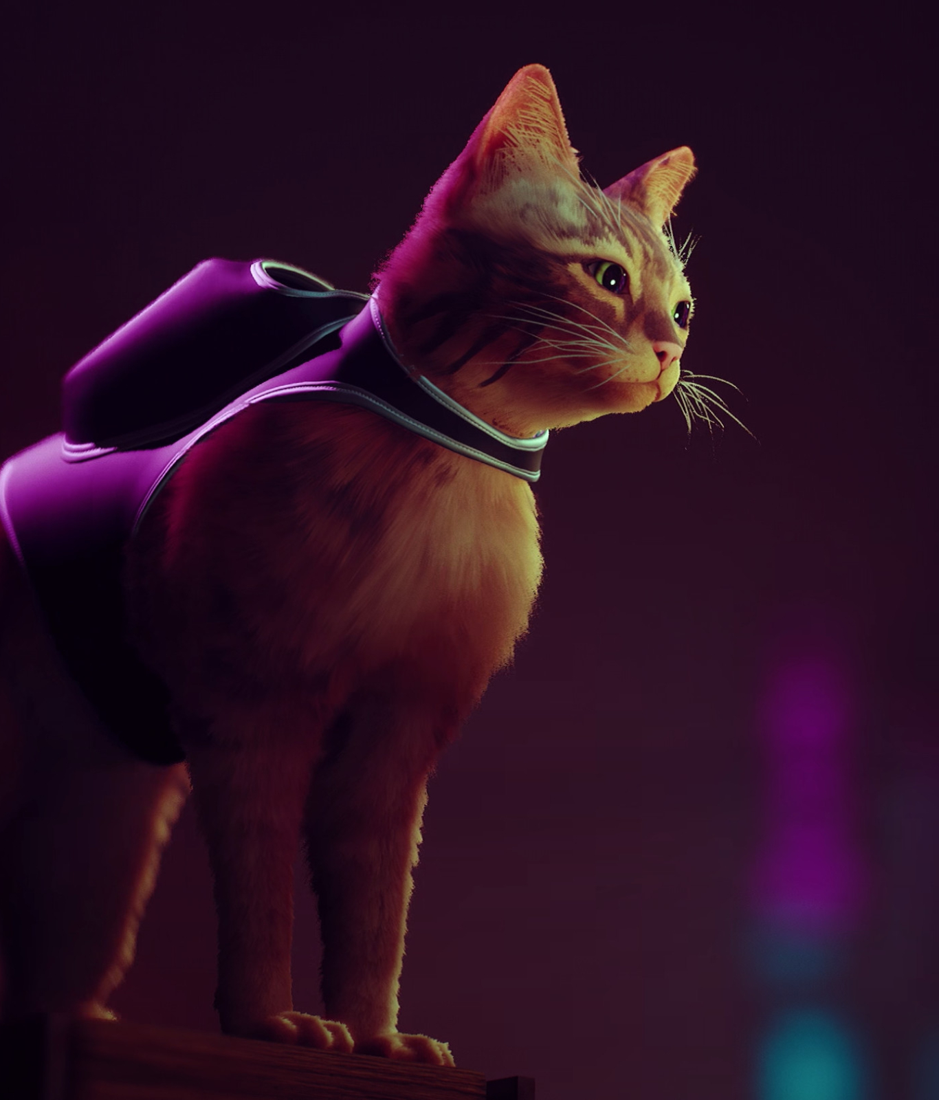 1366x1600 Resolution Stray Game Cat 1366x1600 Resolution Wallpaper ...