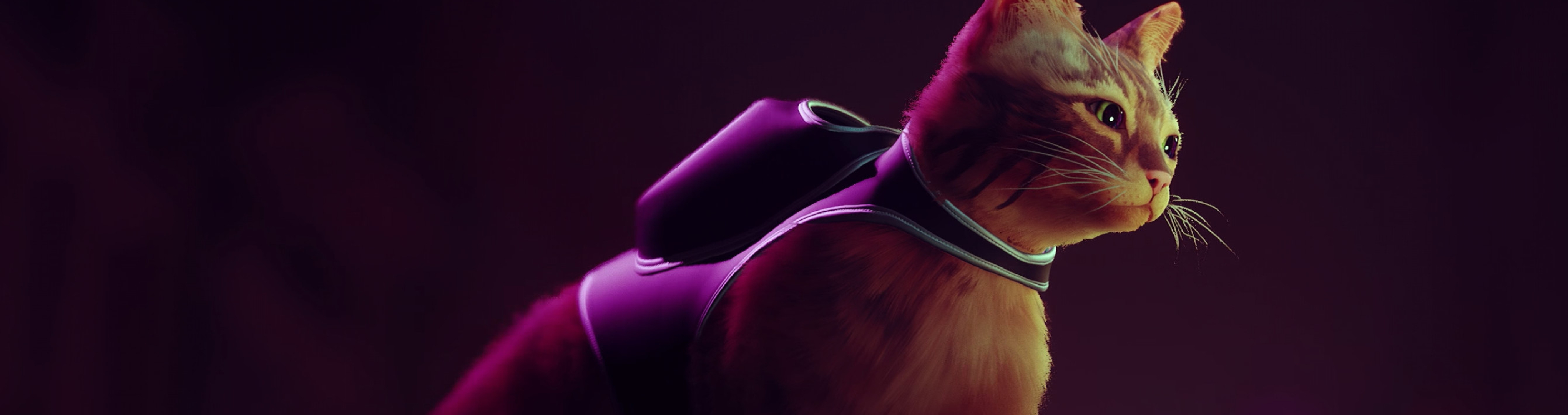 4080x1080 Resolution Stray Game Cat 4080x1080 Resolution Wallpaper ...