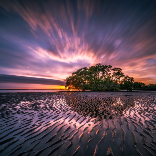 512x512 Resolution sunrise, ocean, sea 512x512 Resolution Wallpaper ...