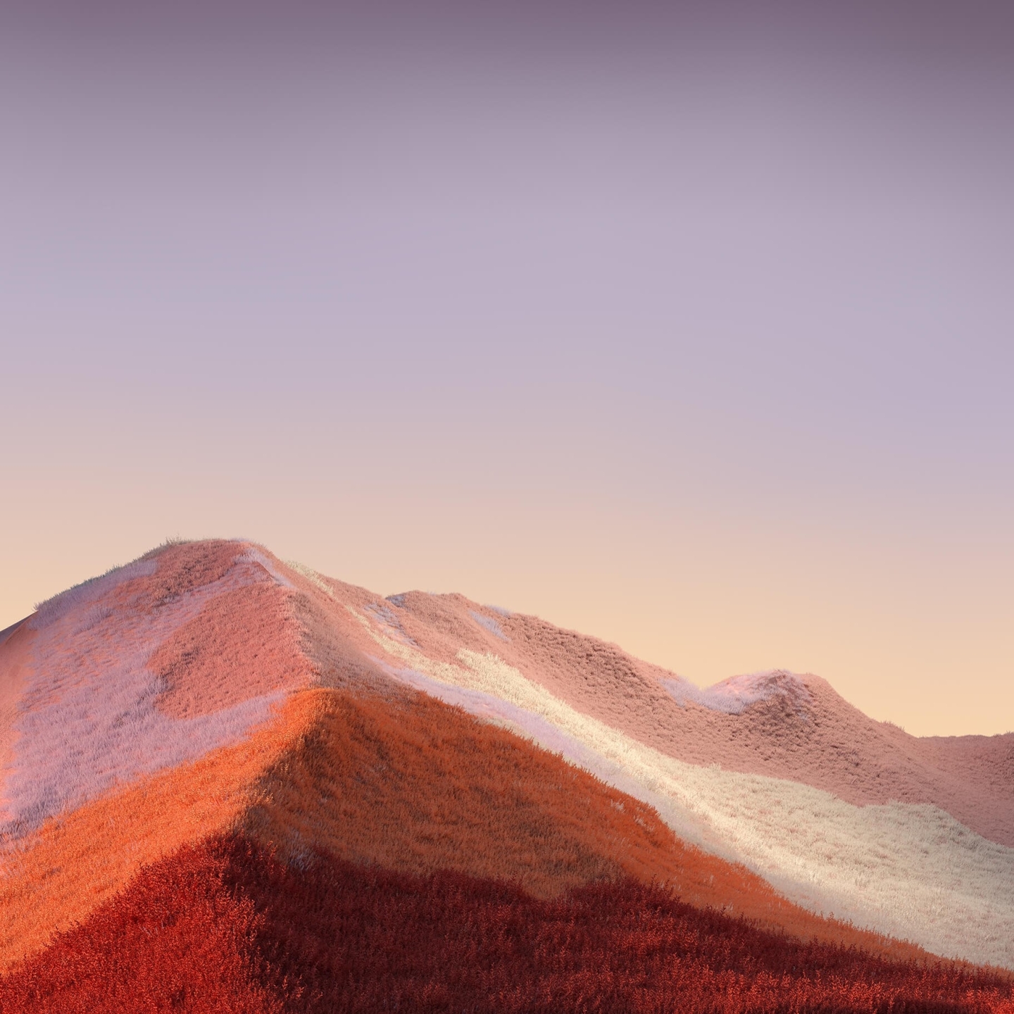 1440x1440 Resolution Surface Pro 7 1440x1440 Resolution Wallpaper ...