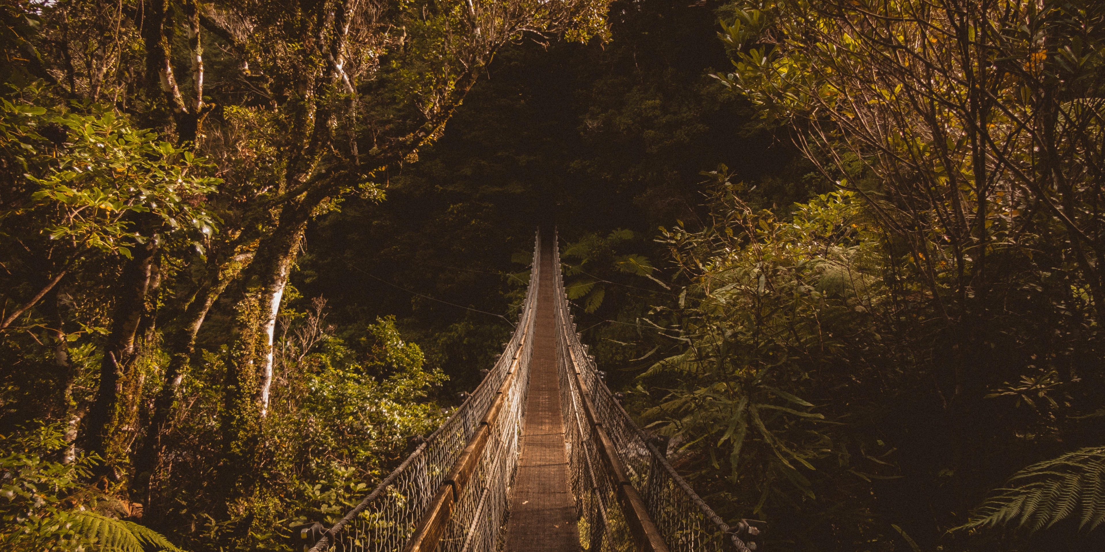 3840x1920 Resolution suspension bridge, bridge, trees 3840x1920 ...