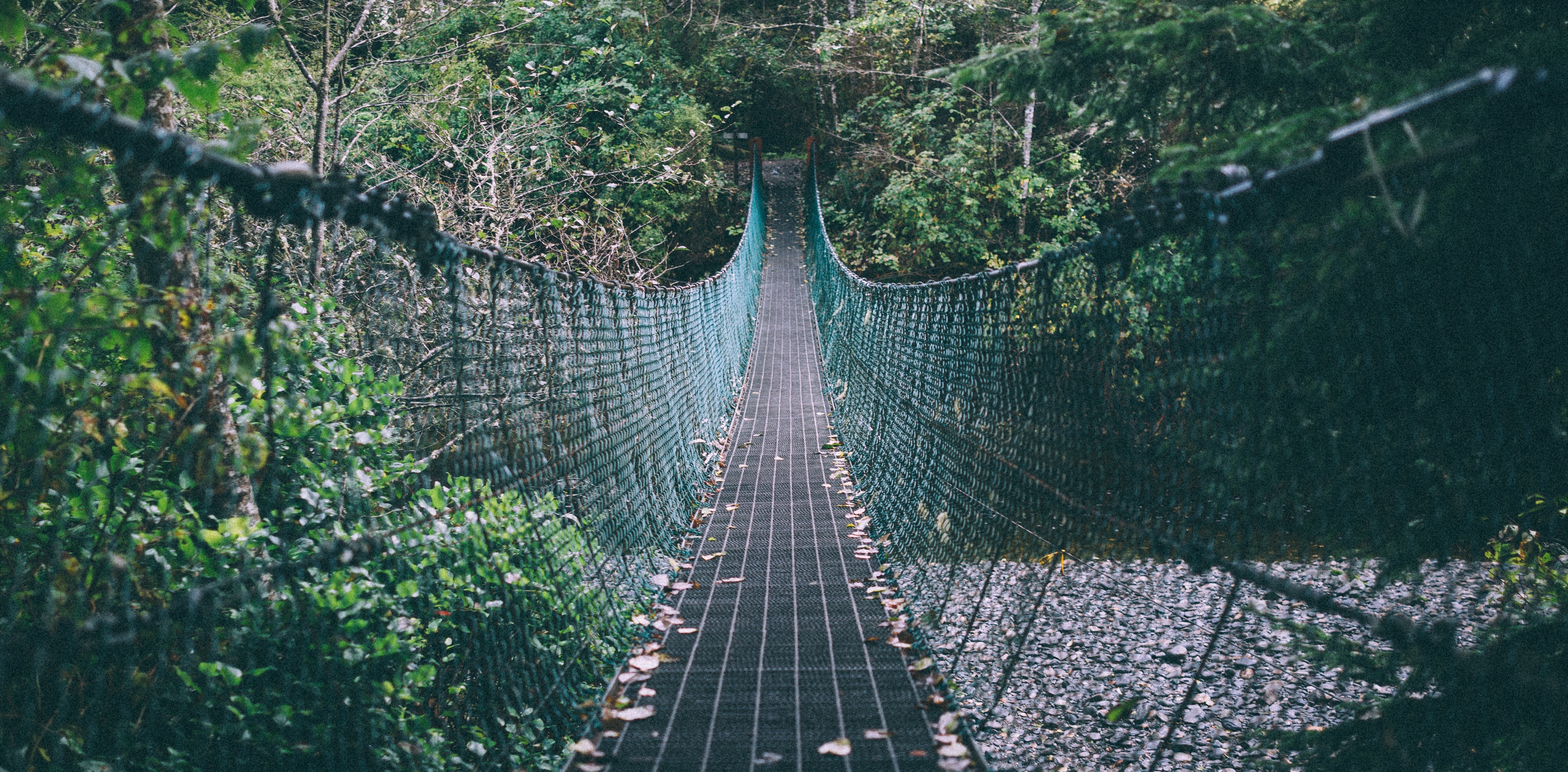 5120x2520 Resolution suspension bridge, rope, trees 5120x2520 ...