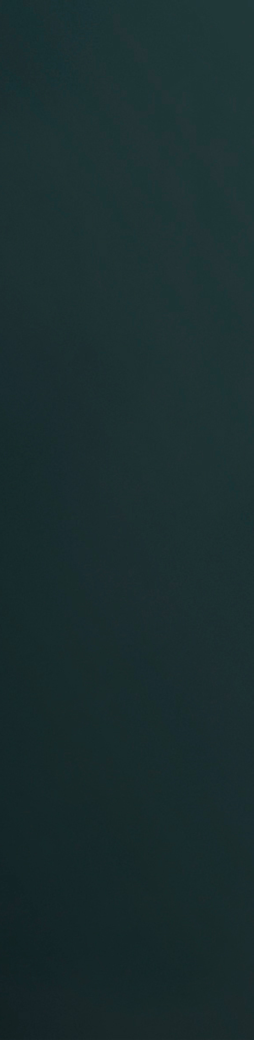 500x2048 Resolution the hunger games mockingjay, part-1, natalie dormer ...