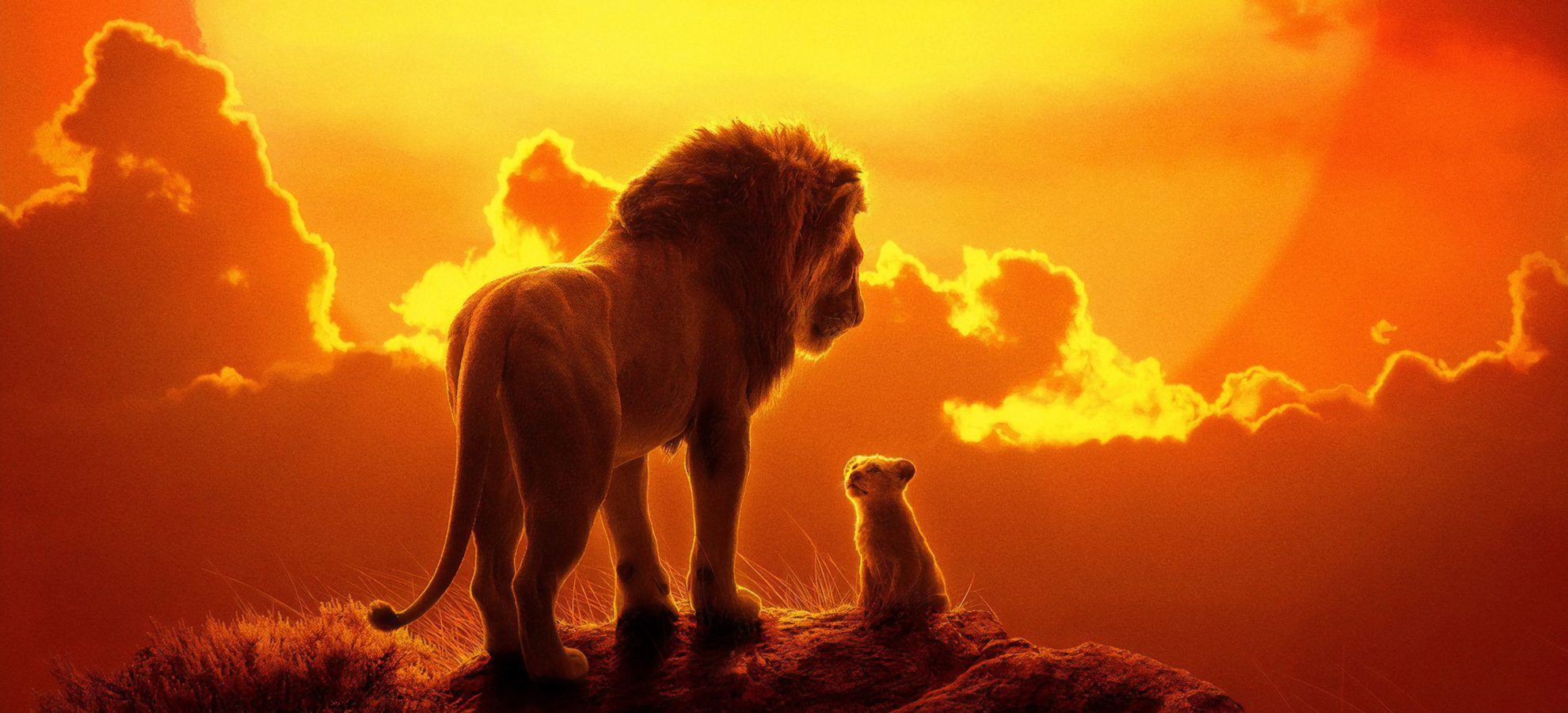 1980x900 The Lion King 2019 Movie 1980x900 Resolution Wallpaper, HD ...