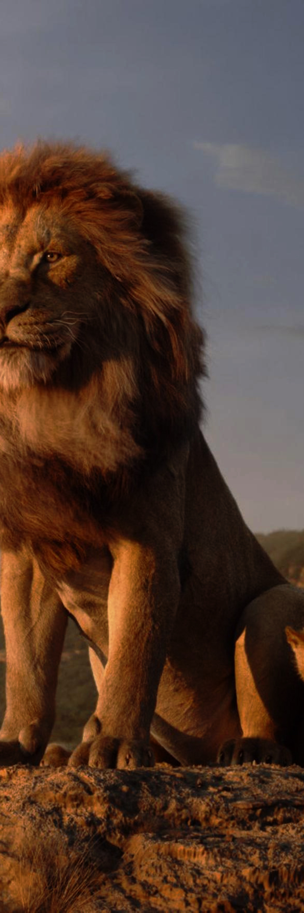 1000x3000 The Lion King 1000x3000 Resolution Wallpaper, HD Movies 4K ...
