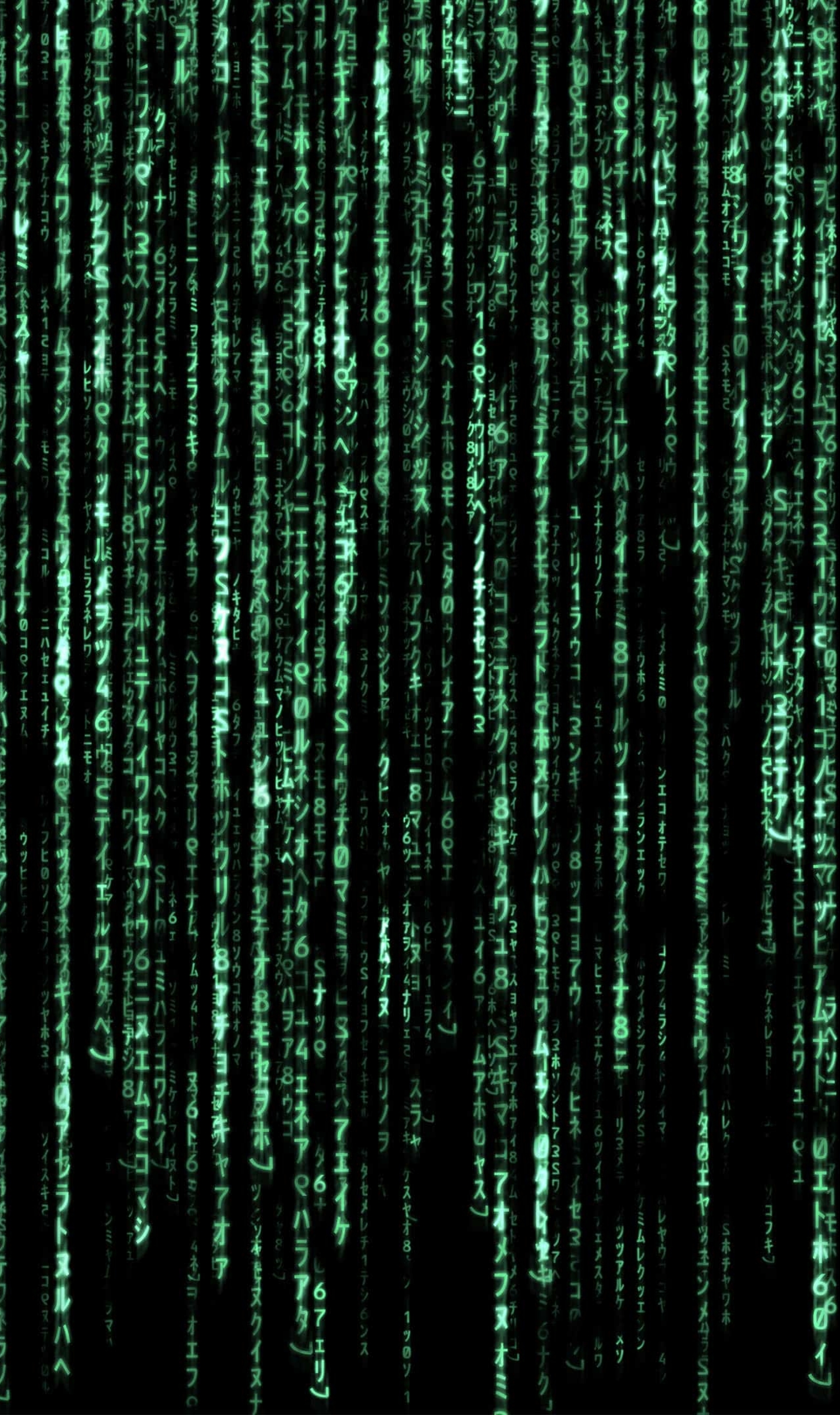 1900x3200 Resolution The Matrix 4K 1900x3200 Resolution Wallpaper ...