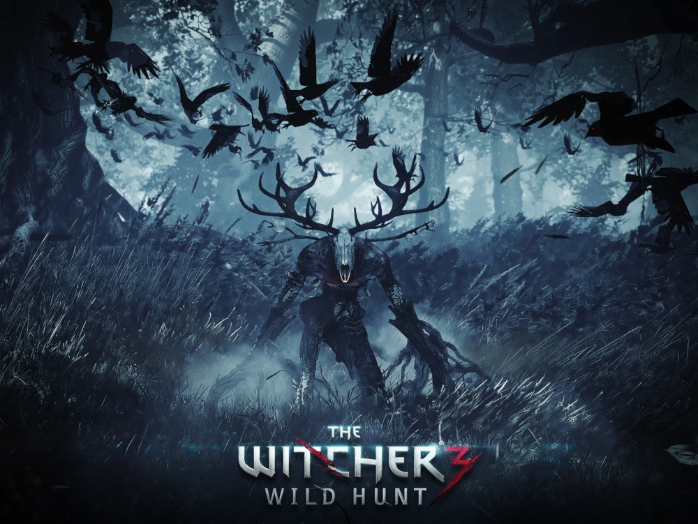 1000x751 Resolution the witcher 3 wild hunt, final part, pc 1000x751 ...