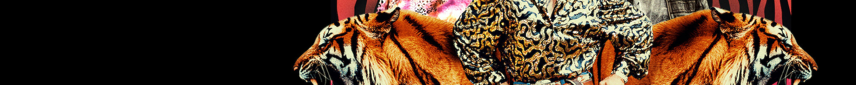 2932x293 Tiger King Season 2 2932x293 Resolution Wallpaper, HD TV ...