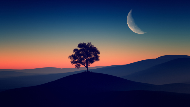 640x360 Resolution Tree Alone Dark Evening 4k 640x360 Resolution ...