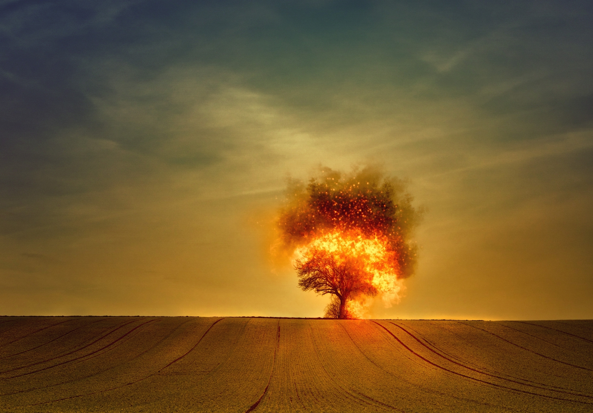1920x1339 Resolution Tree On Fire 1920x1339 Resolution Wallpaper ...