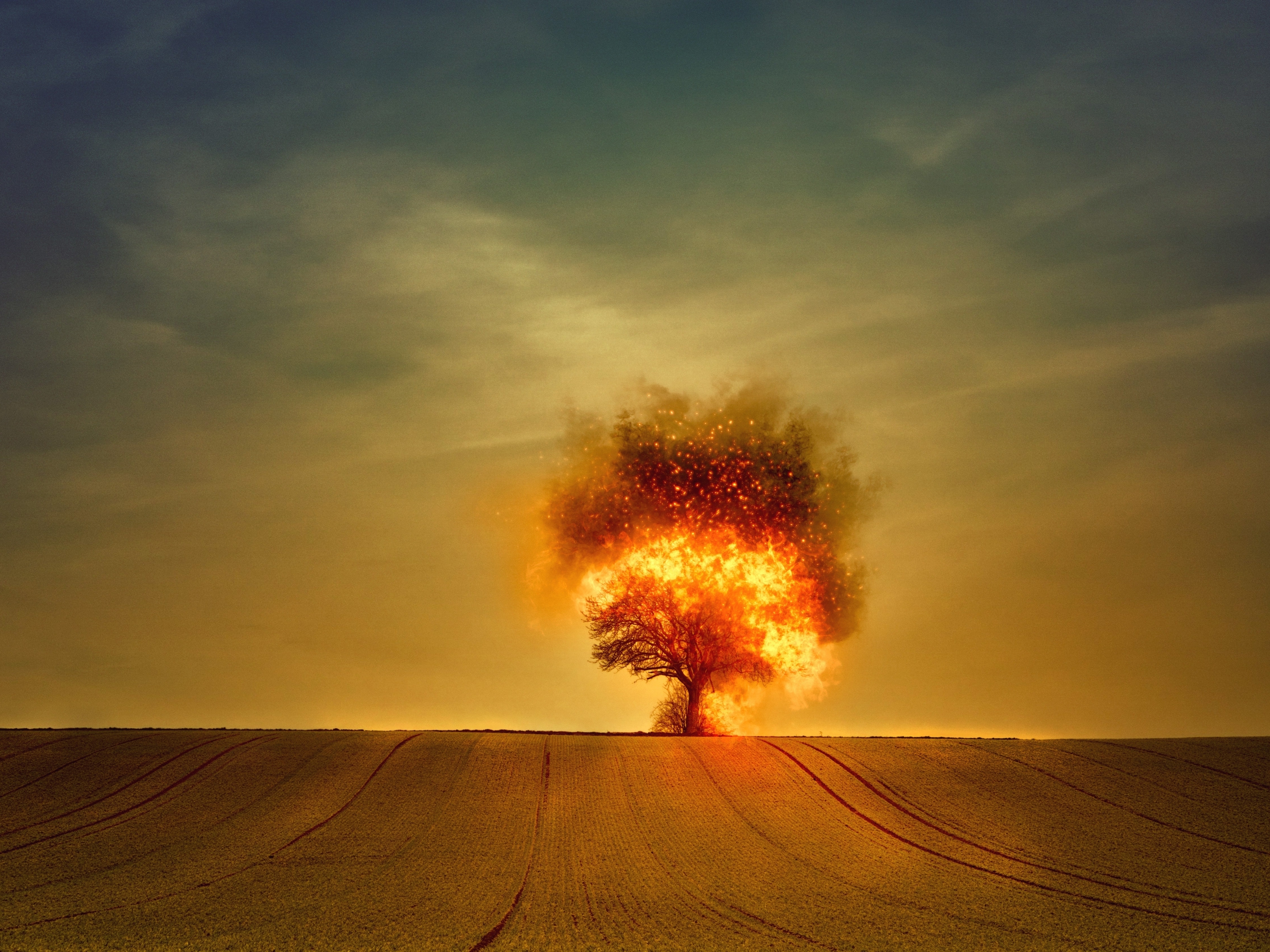 3180x2383 Resolution Tree On Fire 3180x2383 Resolution Wallpaper ...