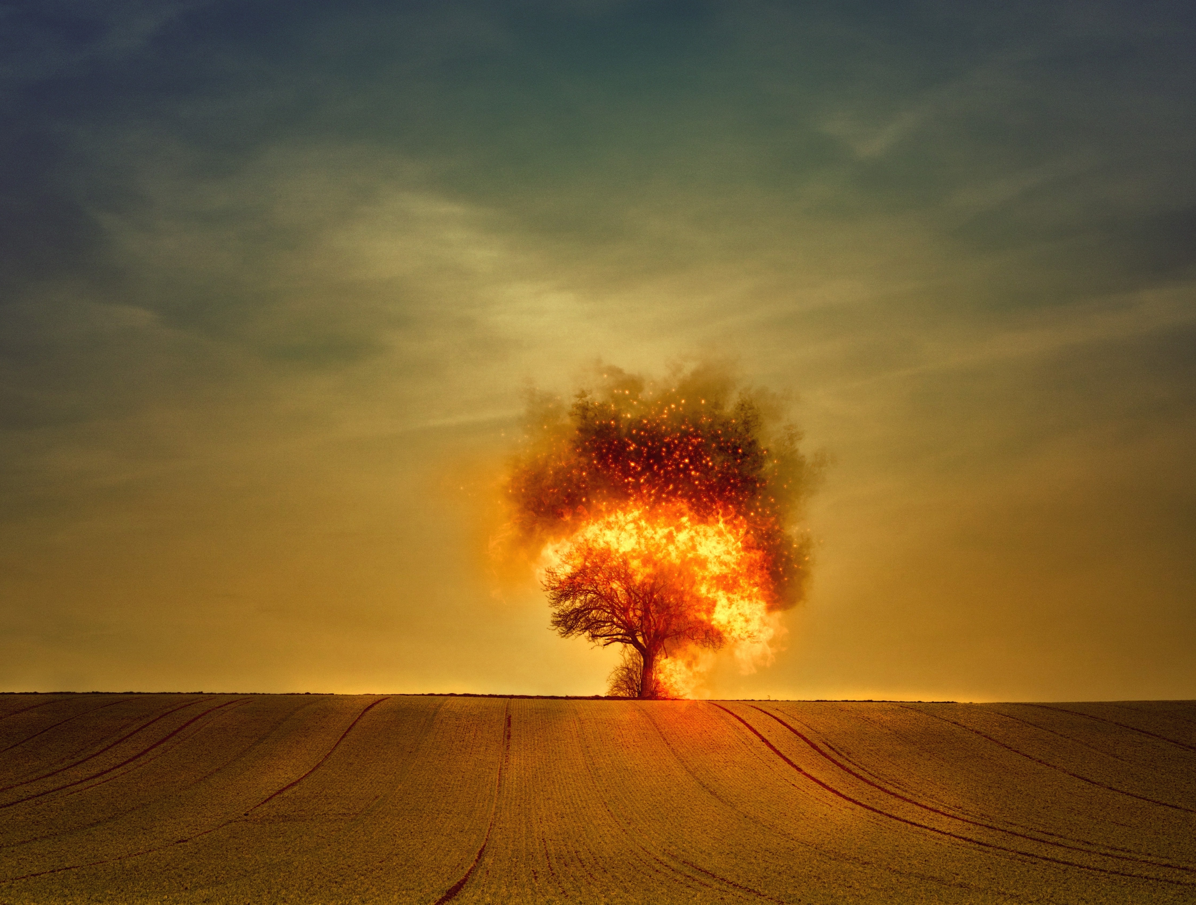 3840x2906 Resolution Tree On Fire 3840x2906 Resolution Wallpaper ...